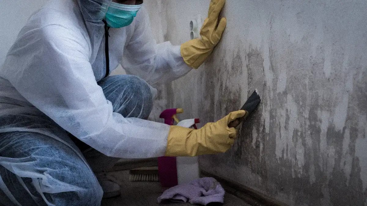 How to Manage Category 3 Water Damage Mitigation